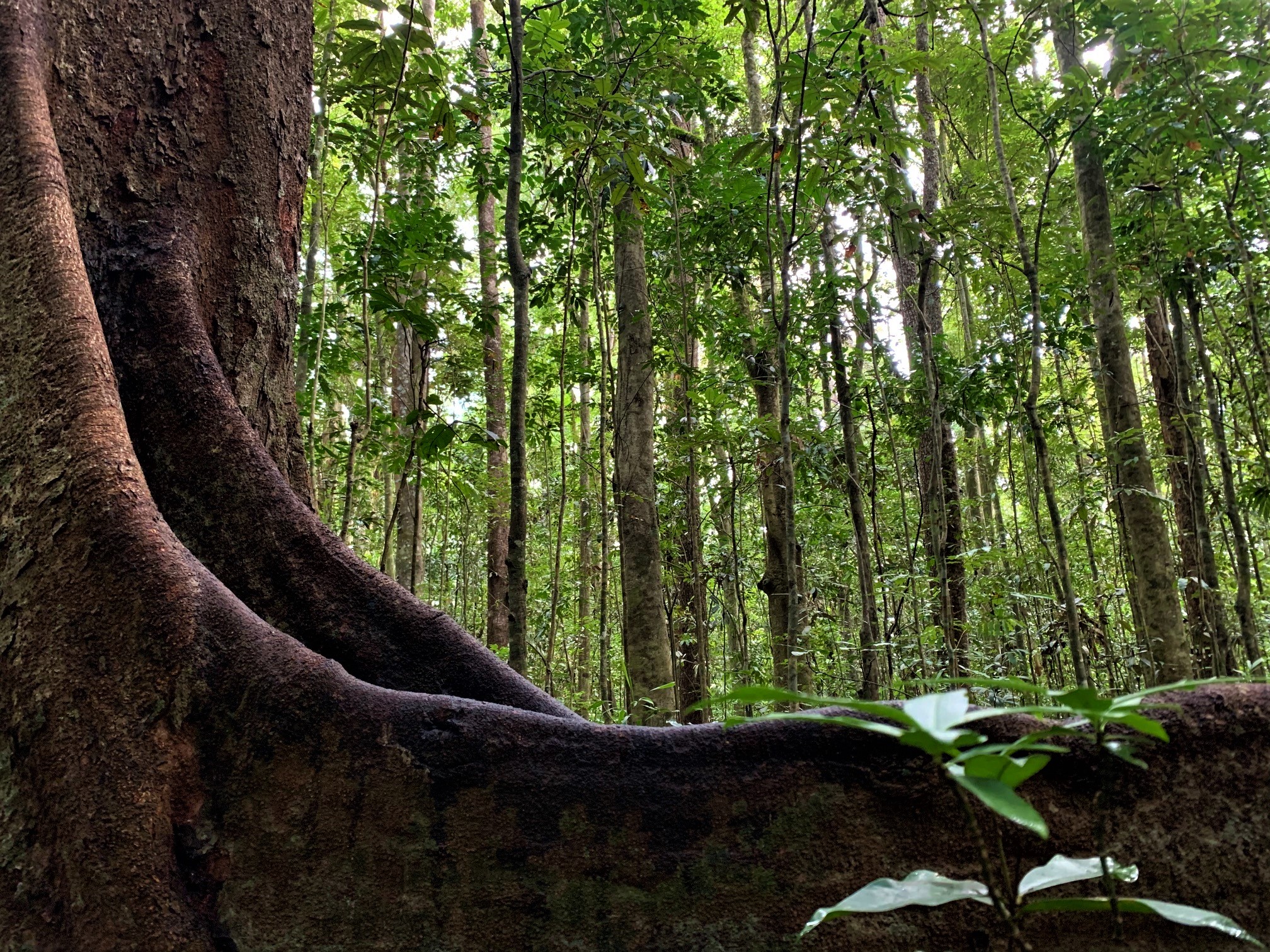Home - Barron Catchment Care