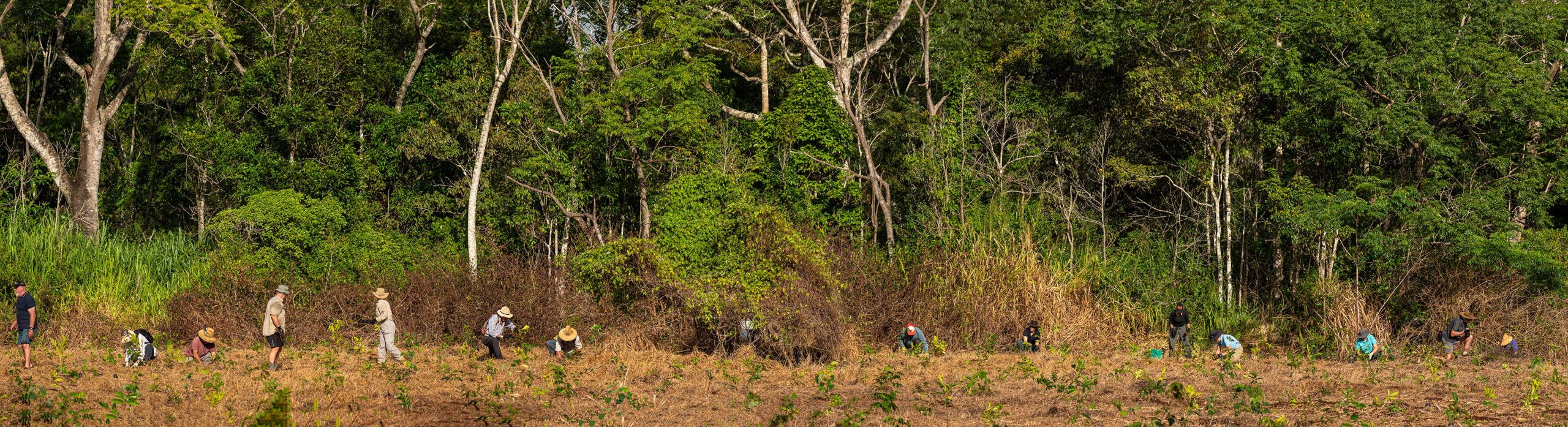 Home - Barron Catchment Care