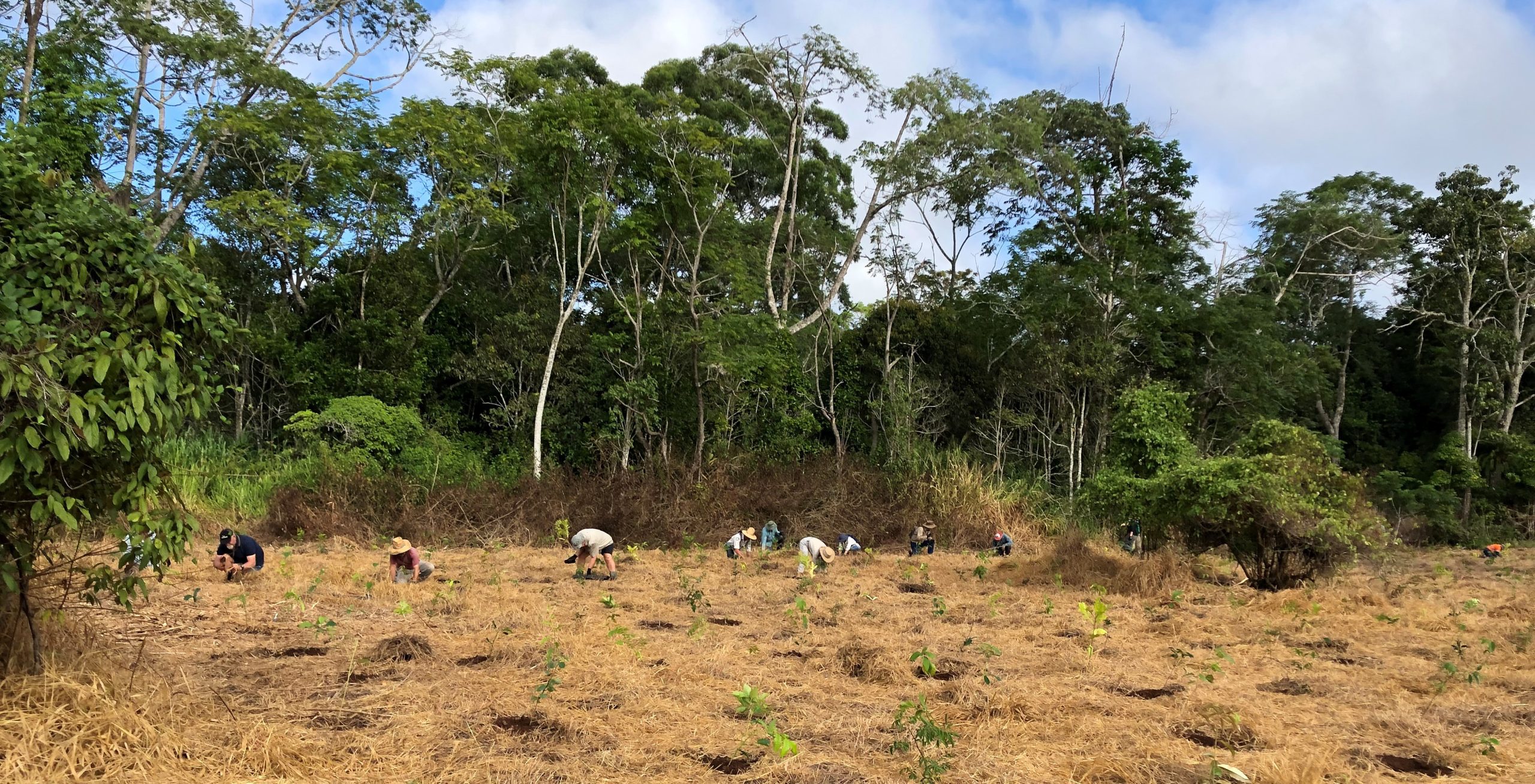 Queens Jubilee - Wongabel Mabi Recovery - Barron Catchment Care