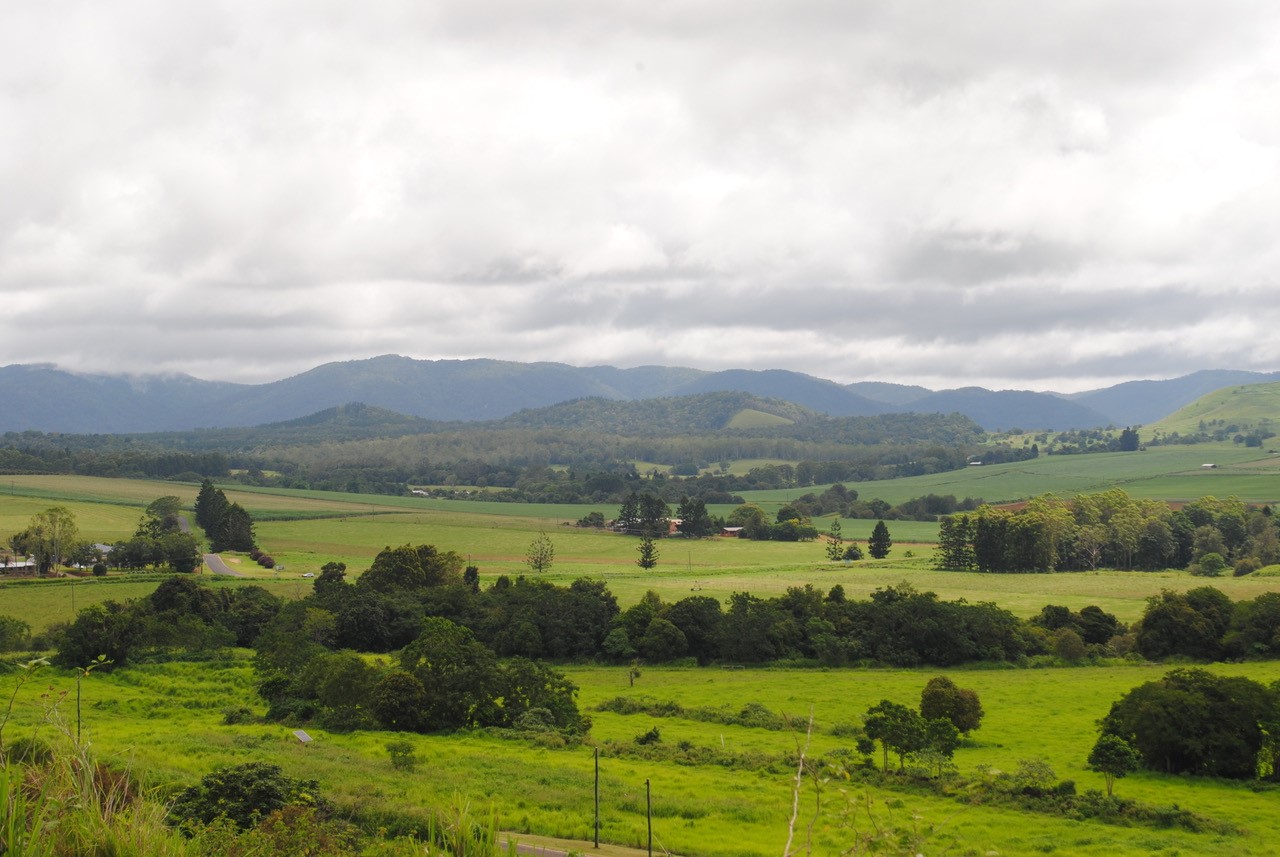 Building Resilience of Threatened Species and Communities - Barron ...