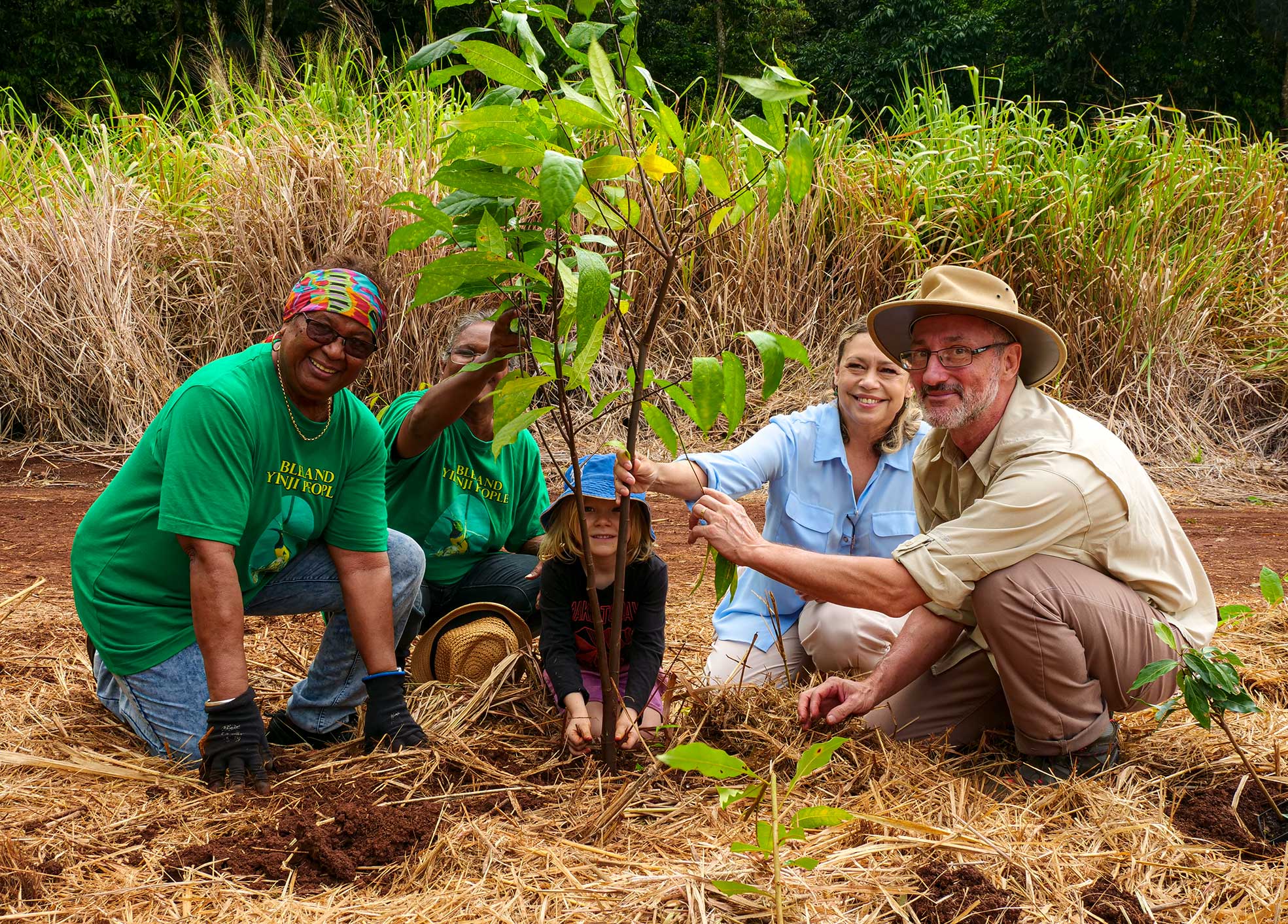 Wongabel Rainforest Recovery Stage II - Barron Catchment Care