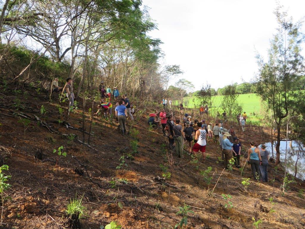 Bonadio Corridor Mabi Stepping Stones - Barron Catchment Care